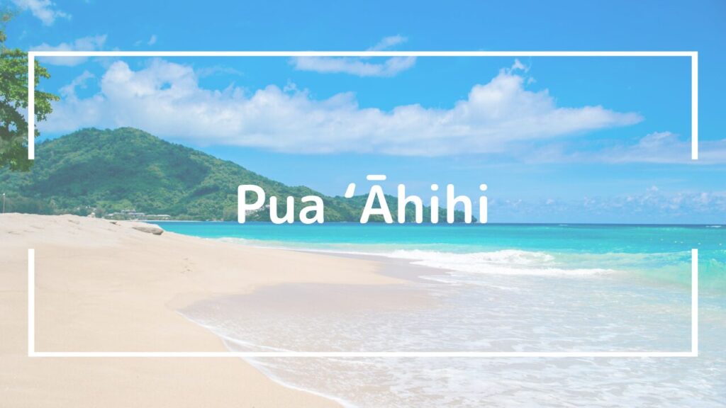 【フラ曲】Pua ʻĀhihi（プアアーヒヒ）！作曲者の奥様への想いが込められた！歌詞(lyrics)と意味も紹介 | YUHKI